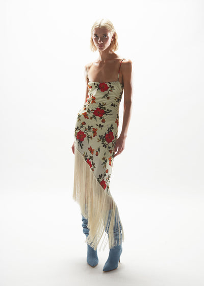 Beautiful Rose Branch