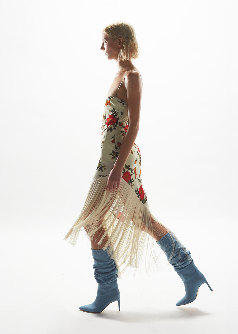 Beautiful Rose Branch